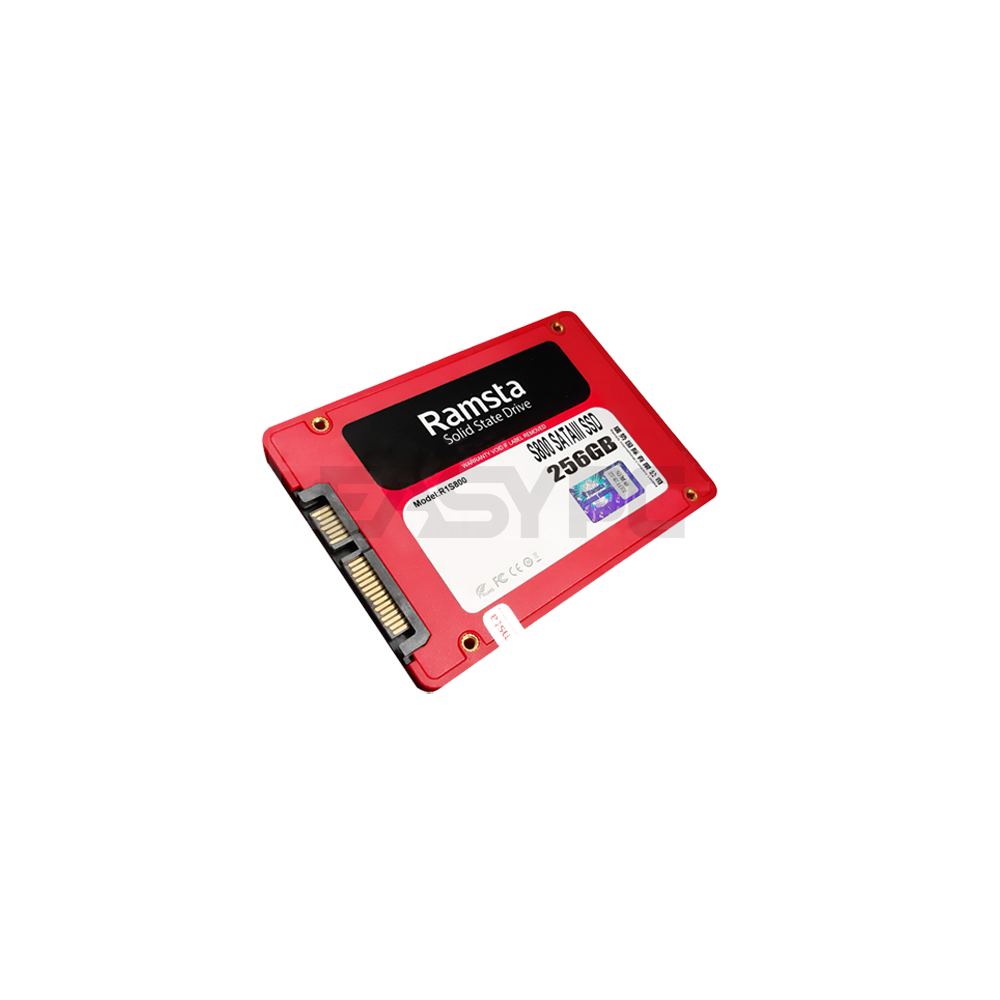 Ramsta S800 256GB SATA 2.5" Solid State Drive – EasyPC