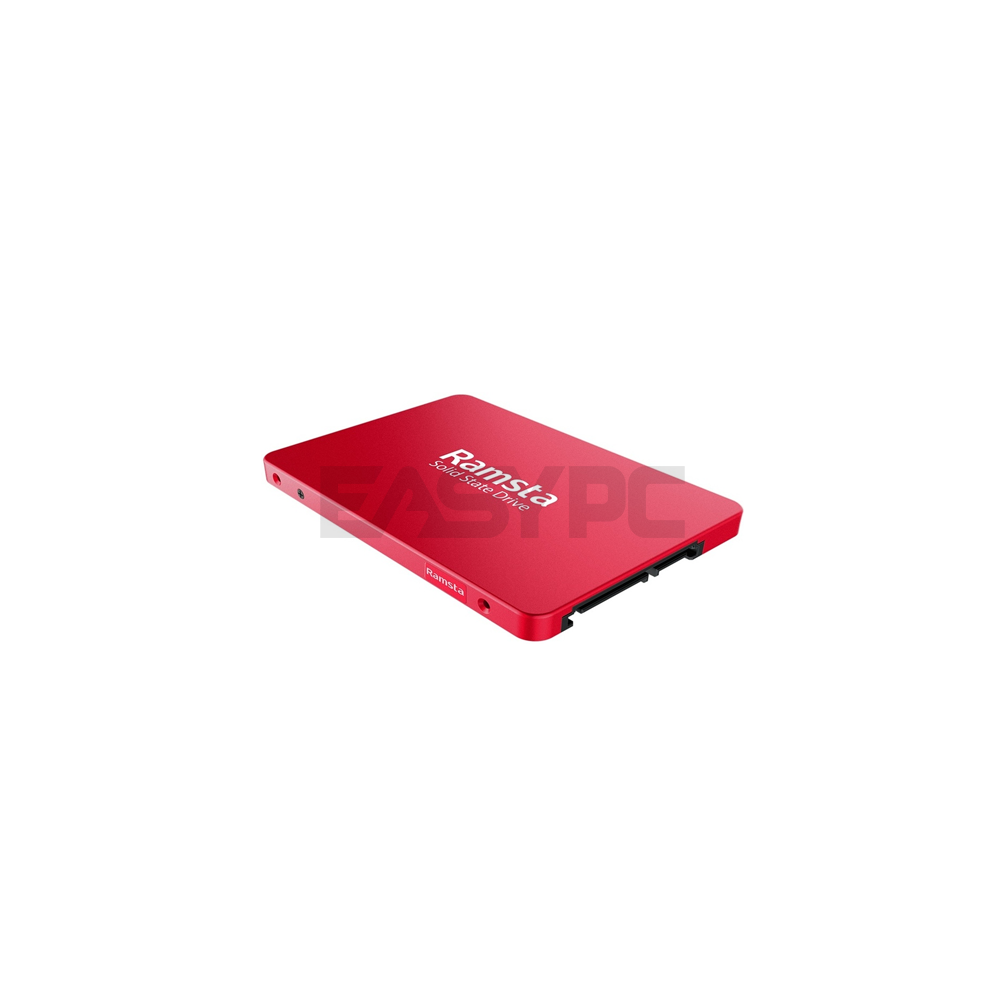 Ramsta S800 256GB SATA 2.5" Solid State Drive – EasyPC