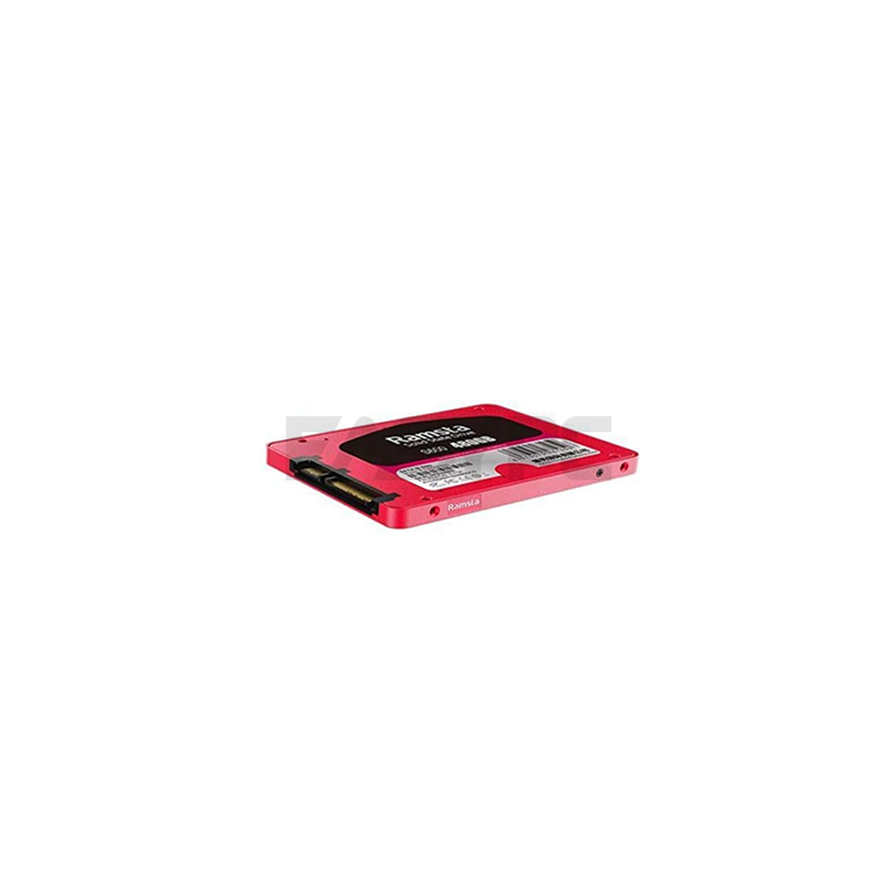 Ramsta S800 256GB SATA 2.5" Solid State Drive – EasyPC