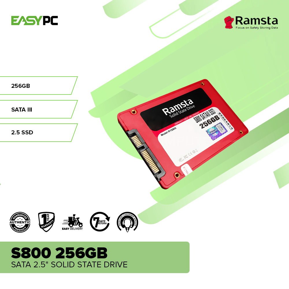 Ramsta S800 256GB SATA 2.5" Solid State Drive – EasyPC