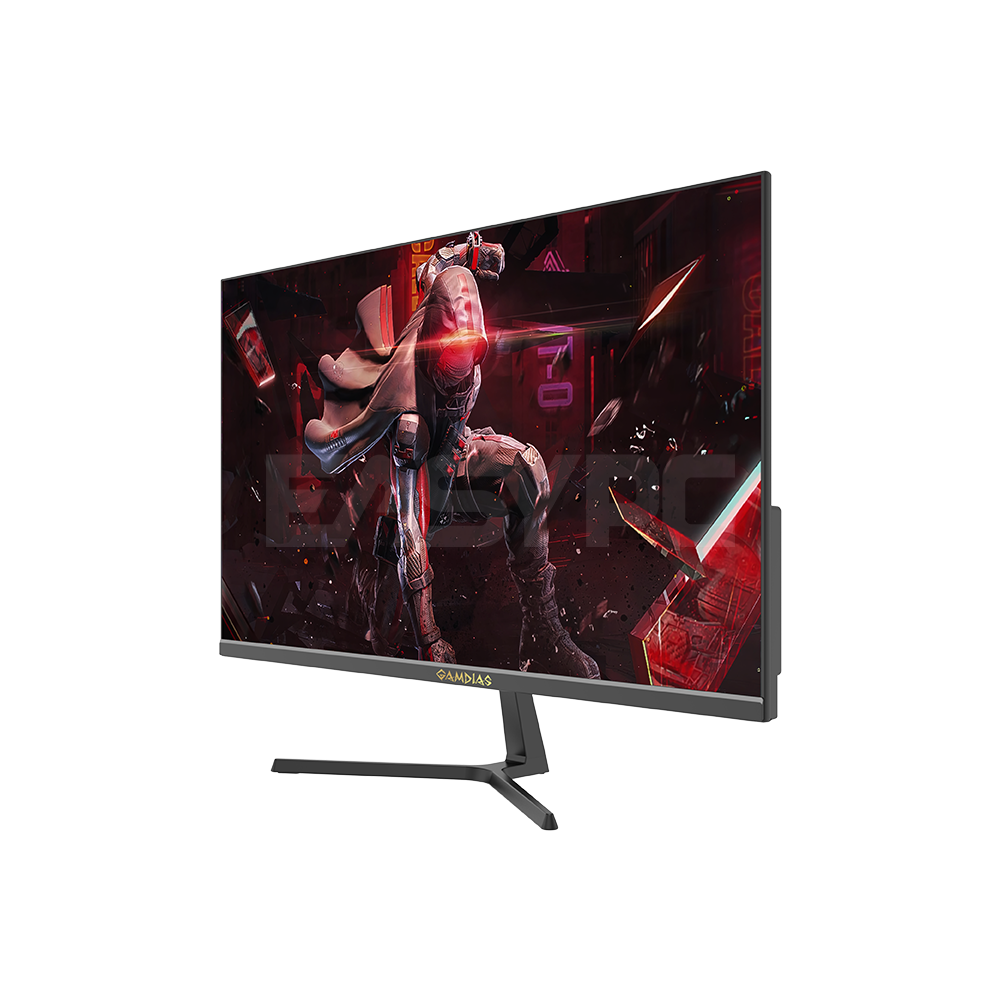 Gamdias VH25F 25" 165HZ FHD Monitor – EasyPC
