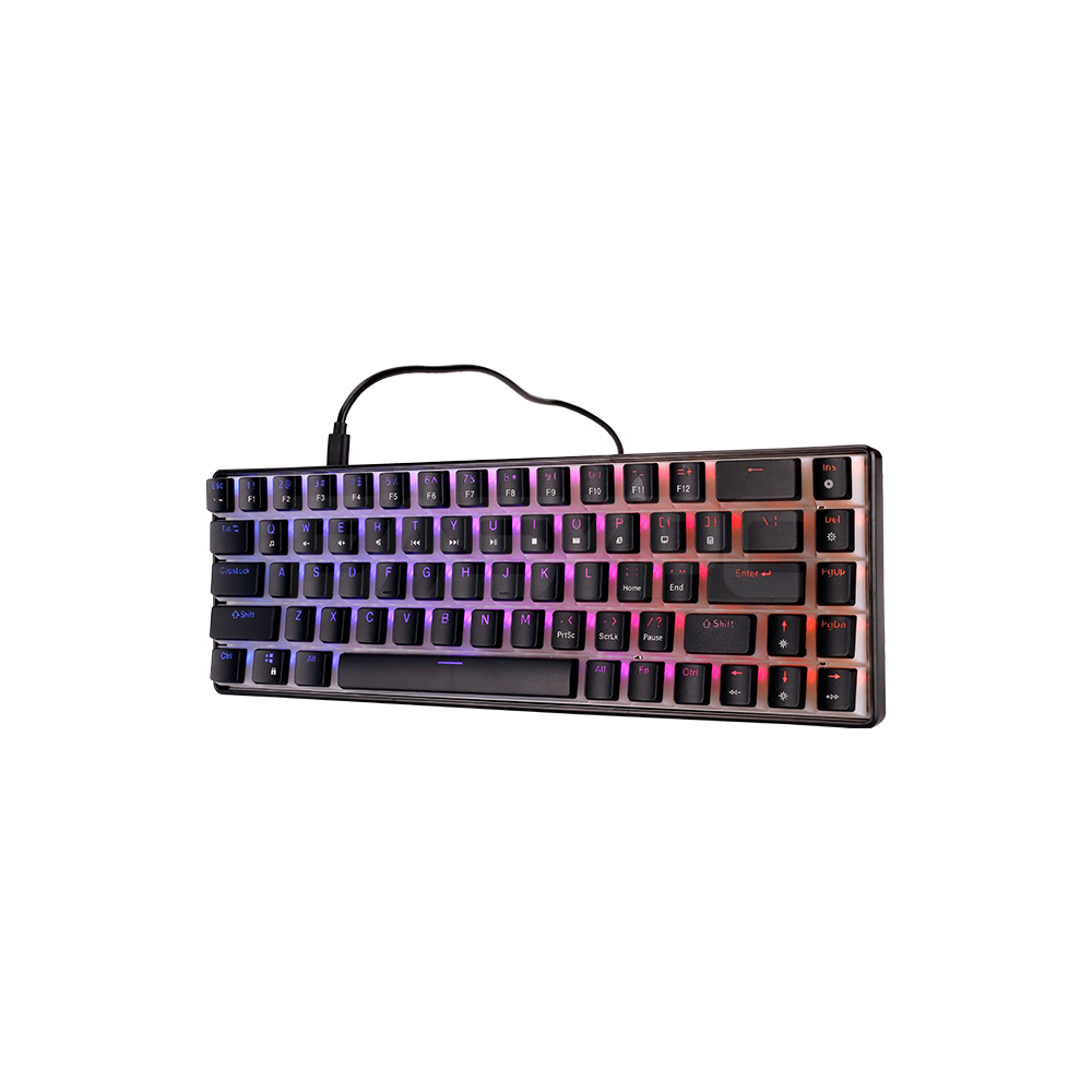 RAKK DIWA V2 68 Keys Mechanical Gaming Keyboard Black – EasyPC