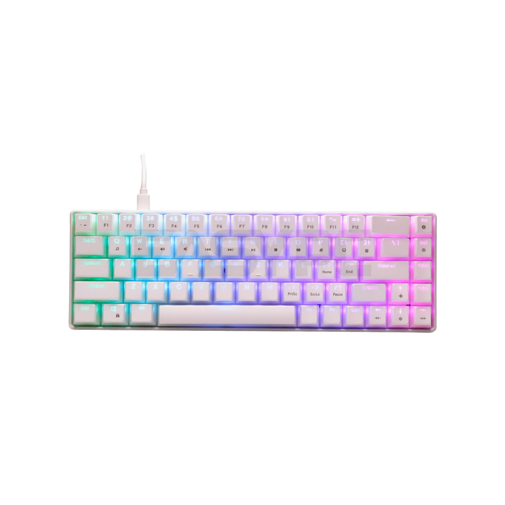 RAKK DIWA V2 68 Keys Mechanical Gaming Keyboard White – EasyPC