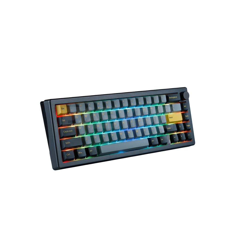RAKK PIRAH PLUS 66 Keys Universal HotSwap Mechanical Gaming Keyboard ...
