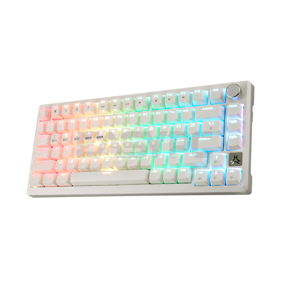 RAKK TALA 81 Keys White / Trimode / RGB / Universal Hotswap / Gasket M ...