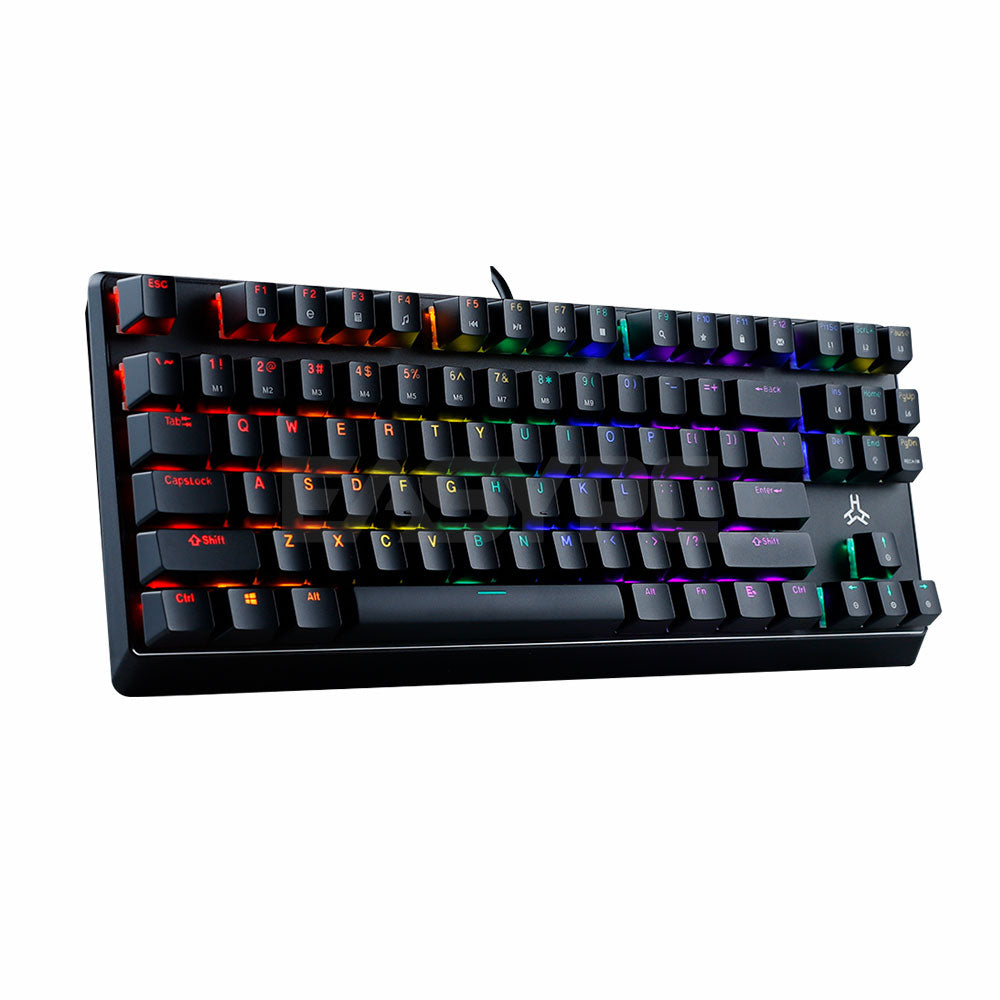 RAKK TANDUS V2 87 Keys Wired Gaming Keyboard/Seamless Doubleshot Keyca ...