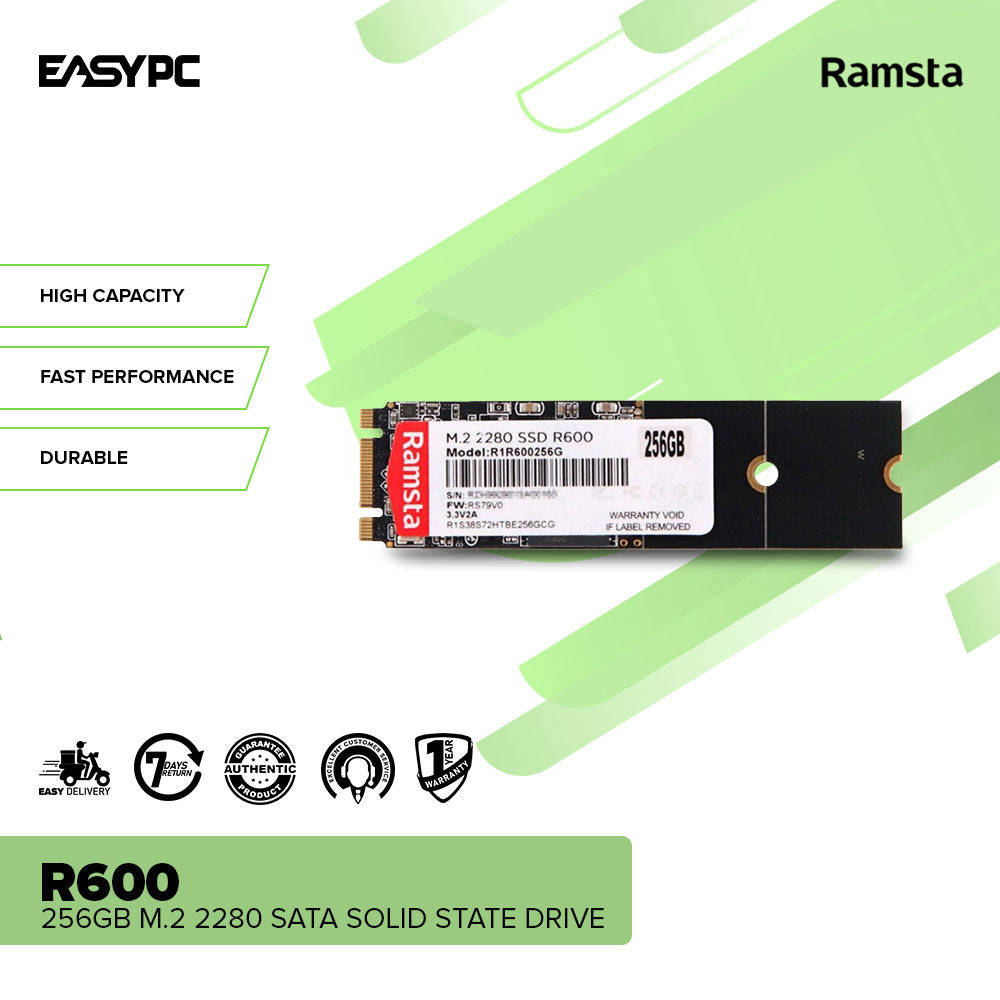 Ramsta R600 256GB M.2 2280 SATA Solid State Drive – EasyPC